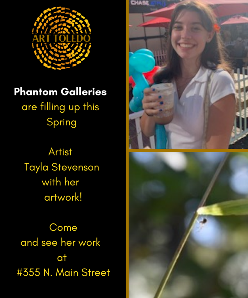 Toledo Phantom Galleries: Tayla Stevenson - Oregon Coast Council for ...