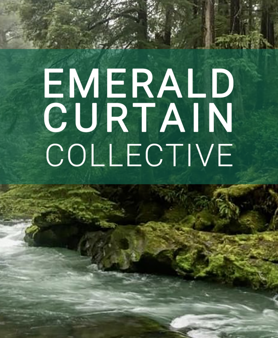 Emerald Curtain Collective Archives - Oregon Coast Council for the Arts